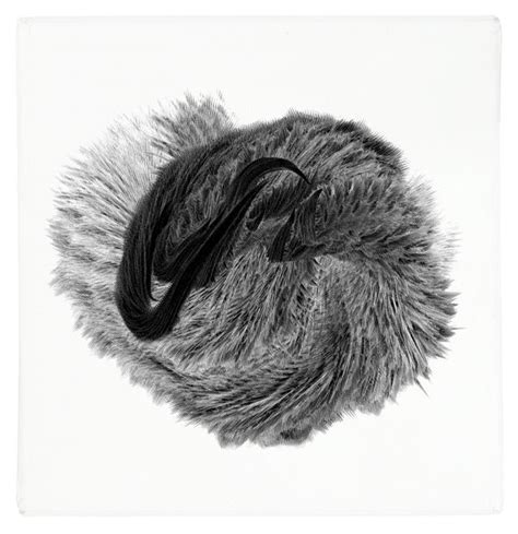 Spike Perlin Noise Vertex Attraction More Perlin Noise String