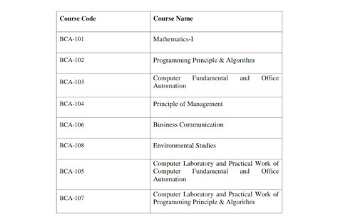 CCS Univercity BCA Syllabus A Digital Library For BCA Babes