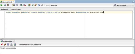 Oracle Sql Error On Script Execution Try Deleting Repository Before
