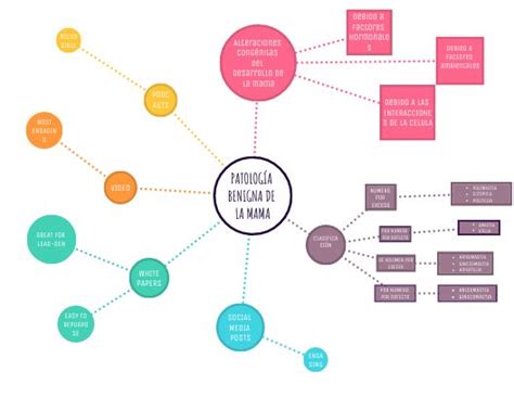 Light Colorful Simple Mind Map