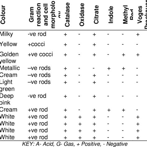 Cultural And Biochemical Characteristics Of Bacterial Isolates