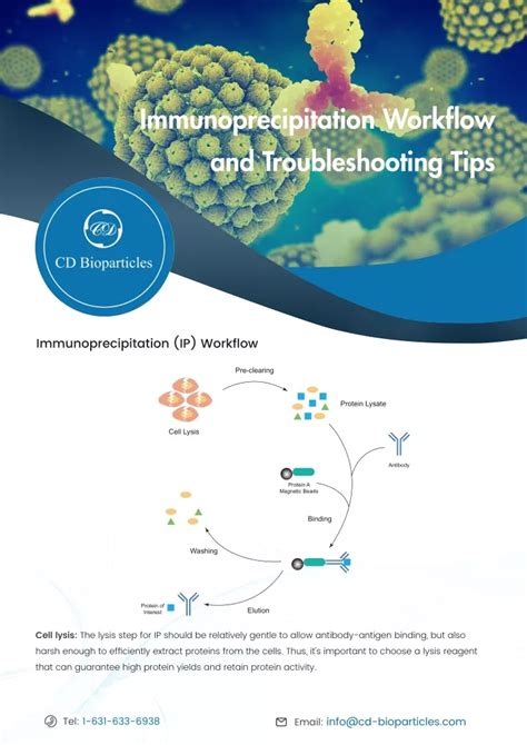 Ppt Immunoprecipitation Workflow And Troubleshooting Tips Powerpoint