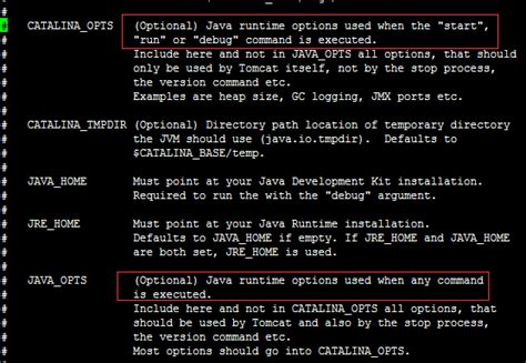 通过tomcat设置jvm及添加jmx远程访问、gc输出日志 Csdn博客