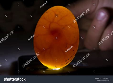 Chicken Egg Candling Chart