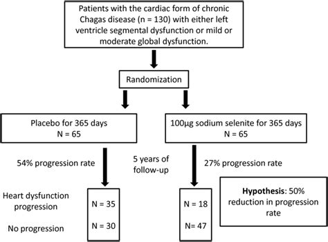 Randomization Hypothesis And Primary End Point Download Scientific