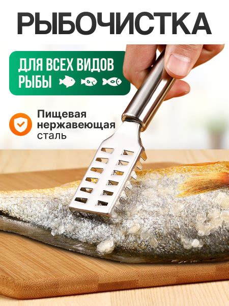 Рыбочистка Скребок Нож для чистки чешуи рыбы Чистилка для рыбы купить C доставкой на Ozon по