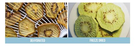 Fillerhouse The Fact Behind Empty Toxin Vial