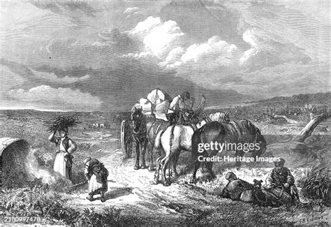 A Timber Clearing In The New Forest Hampshire 1871 What Is Still