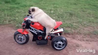 Motorcycle S