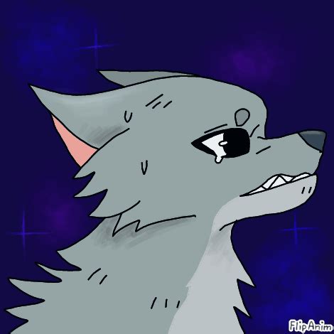 Sad Wolf Crying