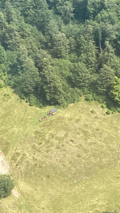 Galerie Foto Copilul de ani al unor turiști a fost mușcat de viperă pe Creasta Cocoșului din