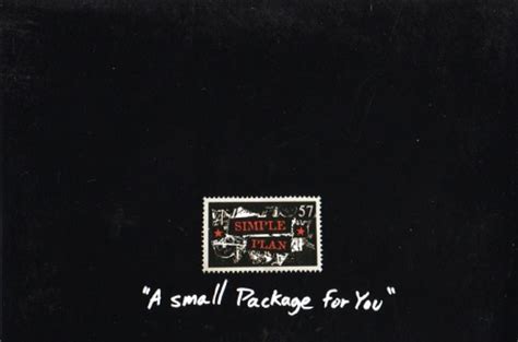 Real Screamers Simple Plan A Small Package For You