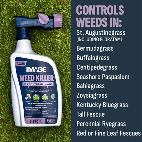 Herbicides For Lawns Herbicides Lawn Addicts