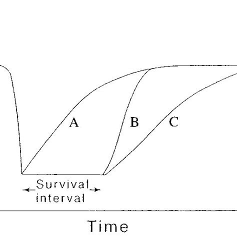 Expectations From Different Models Of The Recovery Process A A