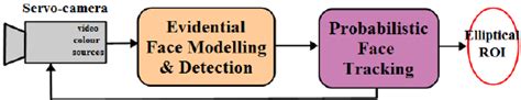 Overview Of The Two Step Algorithm A Face Detection By Evidential Download Scientific Diagram