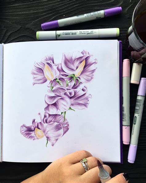 Душистый горошек🌿😍заставила родителей купить семян этого красавца😌а летом буду рисовать его с