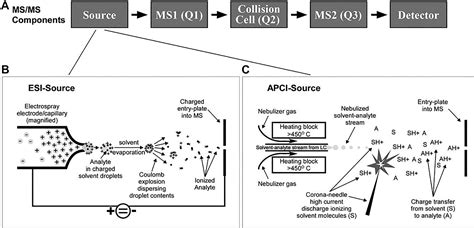 Liquid Chromatography Mass Spectrometry Procedure At Lola Goll Blog