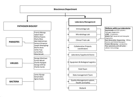 Department Structure Inform