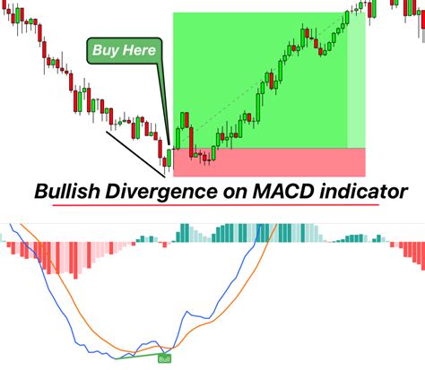 How To Trade With Macd Divergence Indicator Forexbee How To Trade With Macd Divergence Indicator Forexbee