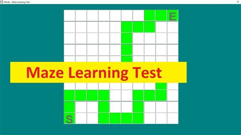 Maze Maze Learning Test Testmanager Minds