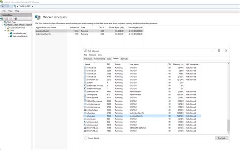 Analyzing And Detecting Iis Backdoors