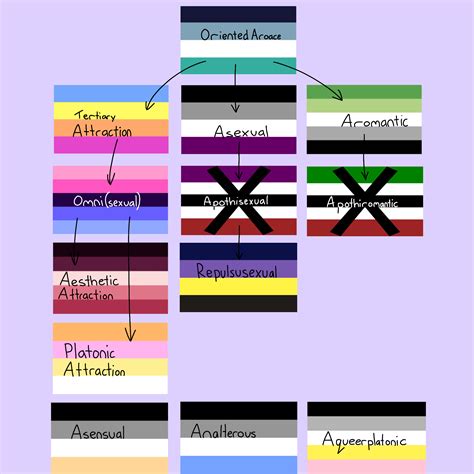 I Updated My Flow Chart D R Orientedaroace