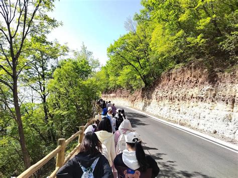 生命科学学院开展2023年野外实习——天界山篇（二）