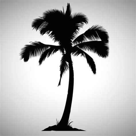 Free Palm Tree Vector Images Over 3 100