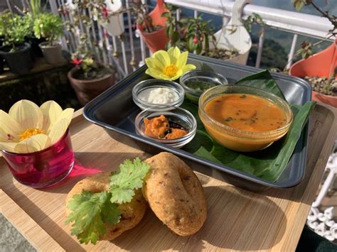 Gallery Tree Of Life