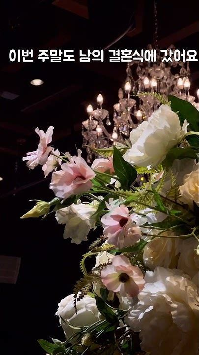 오늘도 남의 결혼식에 참석한 부부😁😁 본식스냅 웨딩스냅 결혼사진 결혼 더리버사이드호텔 레이나그라피 Youtube