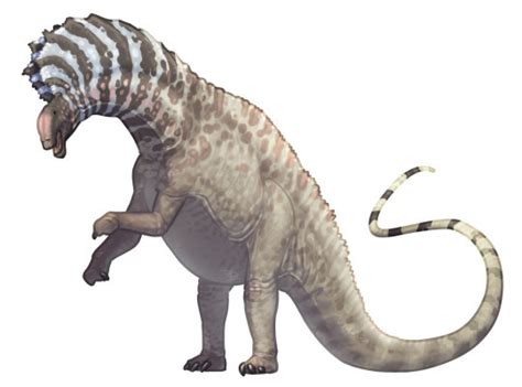 A Dinosaur A Day Round Four Kholumolumo Vs Bajadasaurus