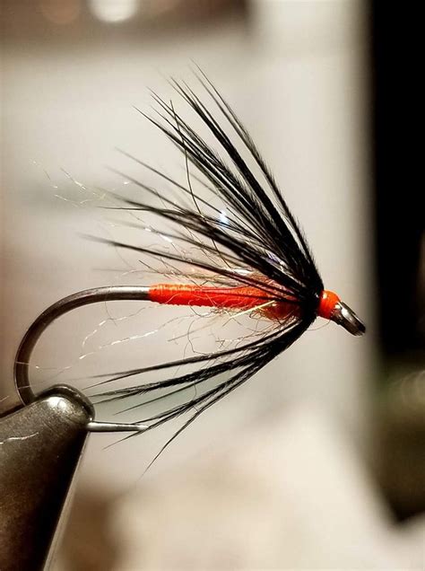 Spider Fly Pattern Pattern Matching Algorithms