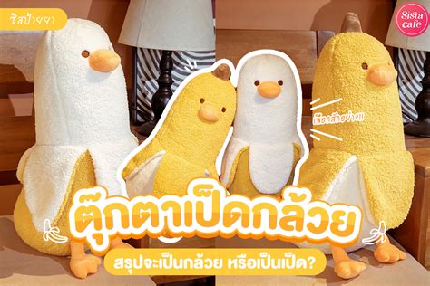 Sistacafe 👀 นิยามของคำว่าแตกต่างแต่ลงตัวนะ ซิสป้ายยา