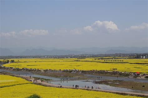最美乡村参选推荐一百一十二：秀山清溪场镇龙凤花海