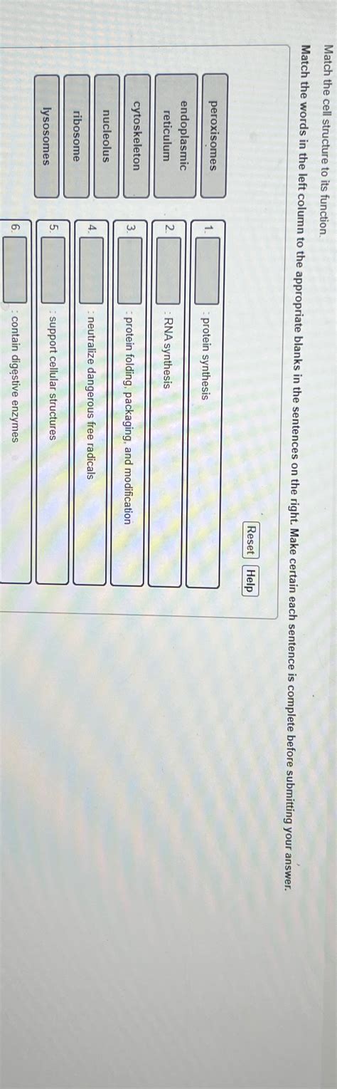 Solved Match The Cell Structure To Its Function Match The Chegg Com
