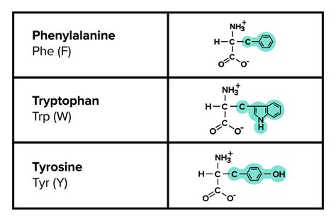 Important Functional Groups For The Mcat Everything You Need To Know — Shemmassian Academic