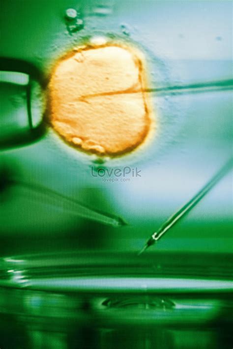 Lab Tested Icon Images HD Pictures For Free Vectors Download Lovepik Com