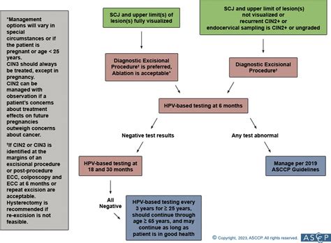 Journal Of Lower Genital Tract Disease