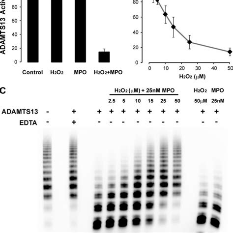 domain structure of adamts13 a and schematic representation of the