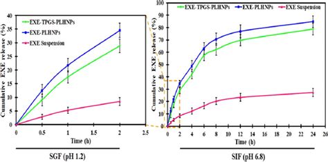 In Vitro Release Profile Of Exe From The Optimized Formulation Of Download Scientific Diagram