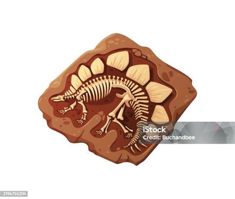 Tulang Kerangka Fosil Dino Sisasisa Dinosaurus Ilustrasi Stok Unduh Gambar Sekarang Alam