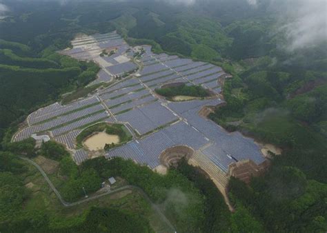 Renewable Energy Daigas