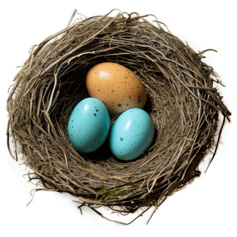 [200 ] Bird Nest Png Images