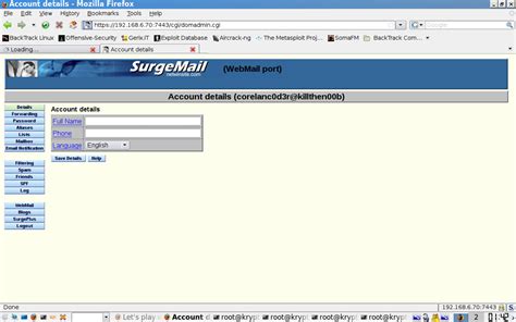 Offensive Security Hacking Tournament How Strong Was My Fu