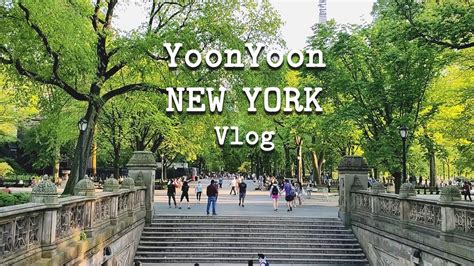 뉴욕 브이로그 뉴욕 코로나 일상 날이 좋아 또 나간 센트럴 파크 피크닉 뉴욕 한인마트장보기 감자스프 시금치 프리타타 로스트 브뤼셀 스프라우트 도전 김밥