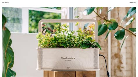 Sam Taylor On Minimal Gallery