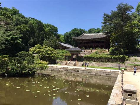 2024昌德宫游玩攻略 5 7图是后苑芙蓉池爱莲池 去哪儿攻略