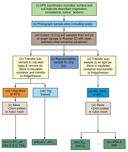 General Flow Chart For Soil Sampling And Analysis Download Scientific Diagram