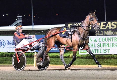 Michelle Lee Mac 2 National Trotguide