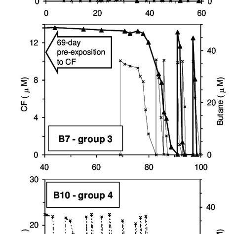 Concentrations Of Butane And Cf Versus Time During The Initial 60 100 Download Scientific
